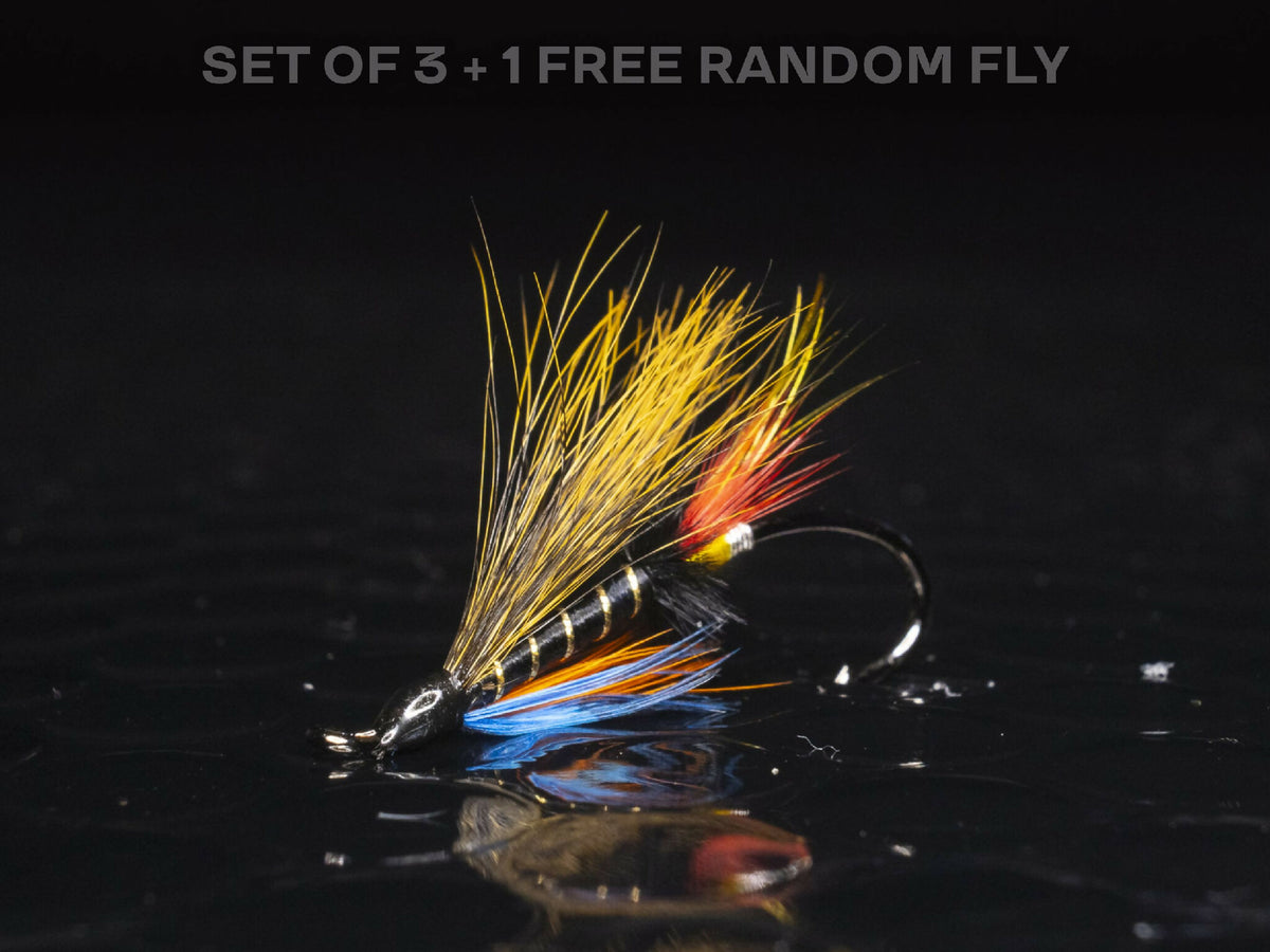 3 Thunder & Lightning + 1 FREE random salmon fly — Salmon fly fishing wet flies perfect for ...