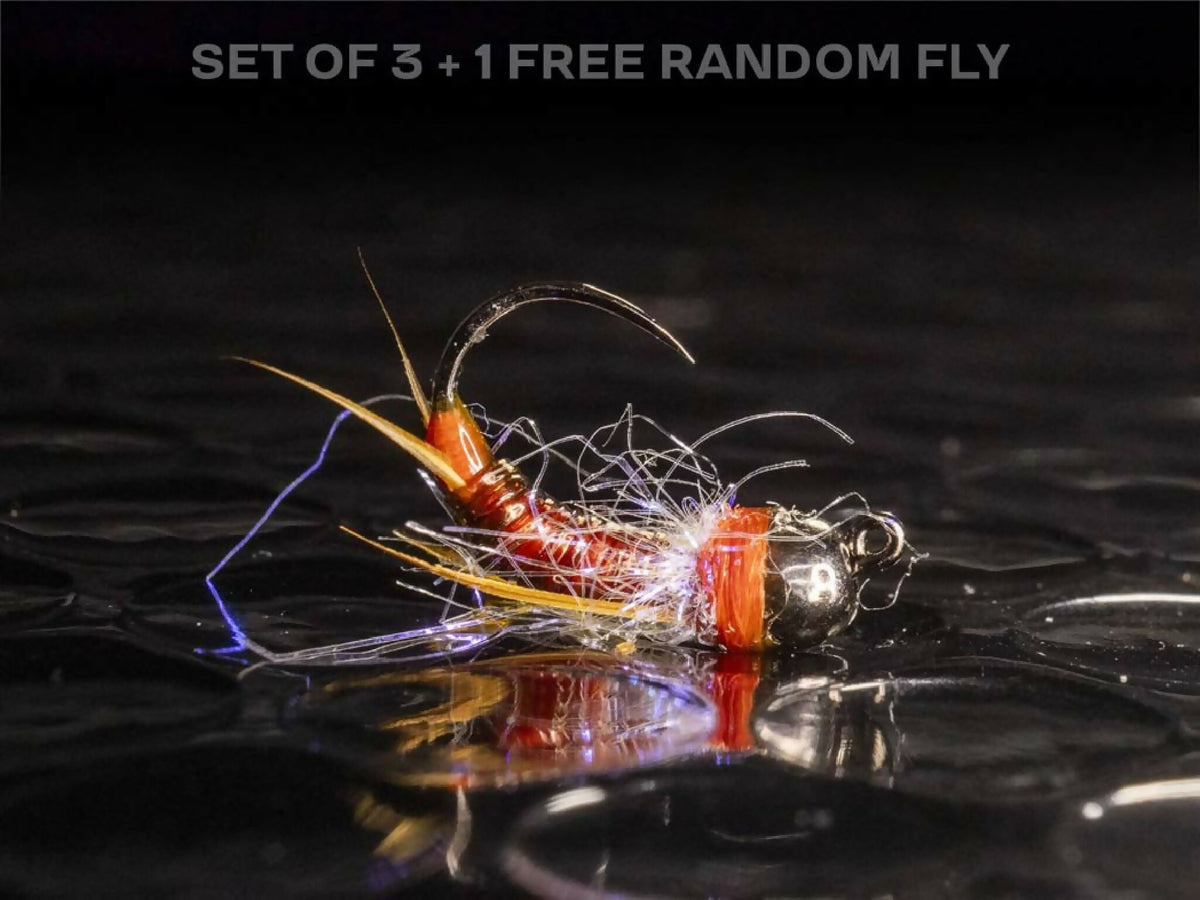 3 prince jig flies + 1 FREE random fly — Tungsten egg laying euro nymphing flies for euro fly ...