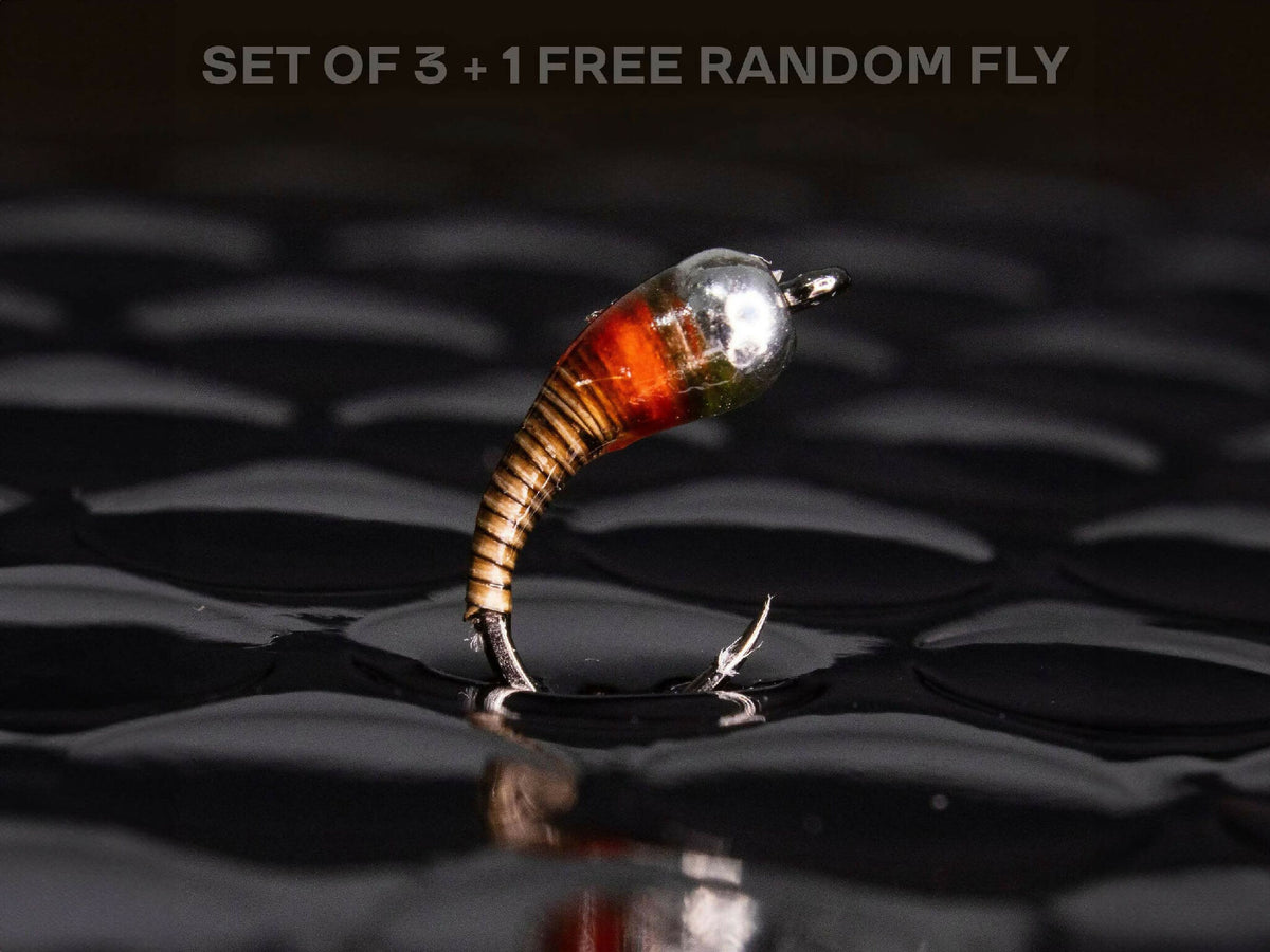 3 orange midge + 1 FREE random fly — Tungsten and perfect for trout grayling panfish whitefish ...