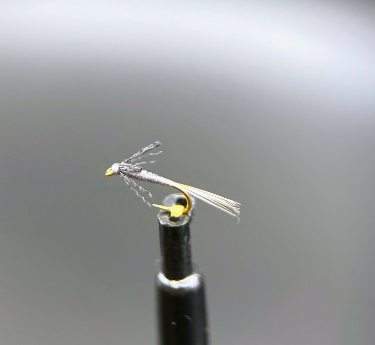 Thread Baetis Check Your Flies