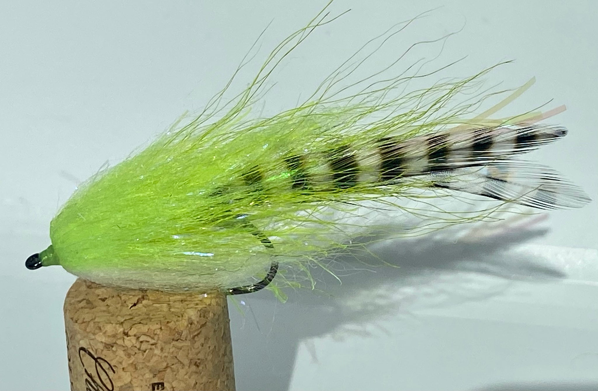 Mini Roamer – Check Your Flies