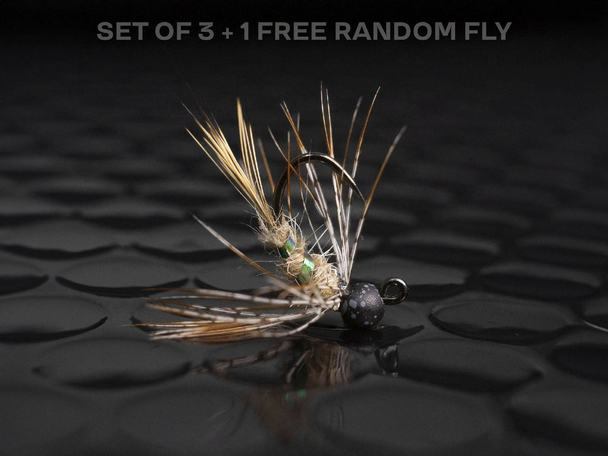 3 euro nymph + 1 FREE random fly — Tungsten bead head hare's ear euronymph jig flies for fly ...