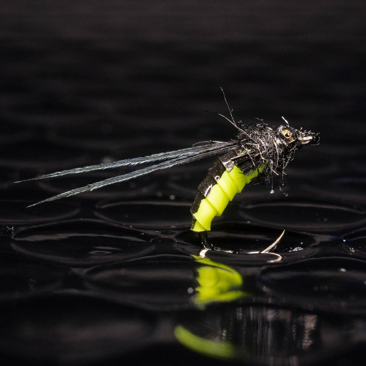 3 caddi pupa + 1 FREE random fly — Rubber larva for fly fishing nymphs ...