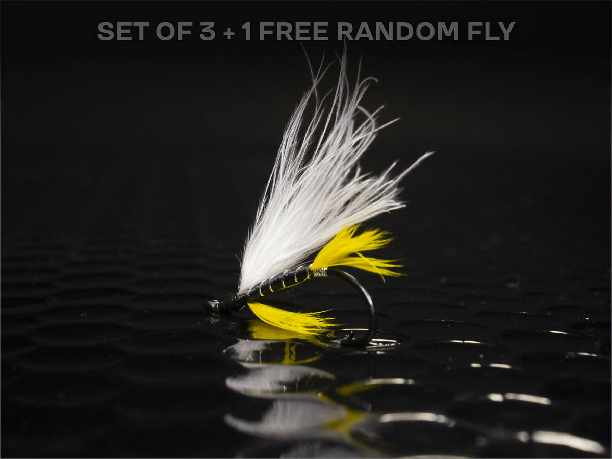 3 Black Ghost + 1 FREE random salmon fly — Salmon fly fishing wet flies ...