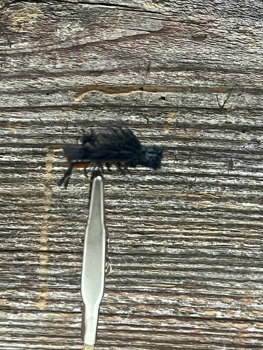 Dave’s Cricket – Check Your Flies