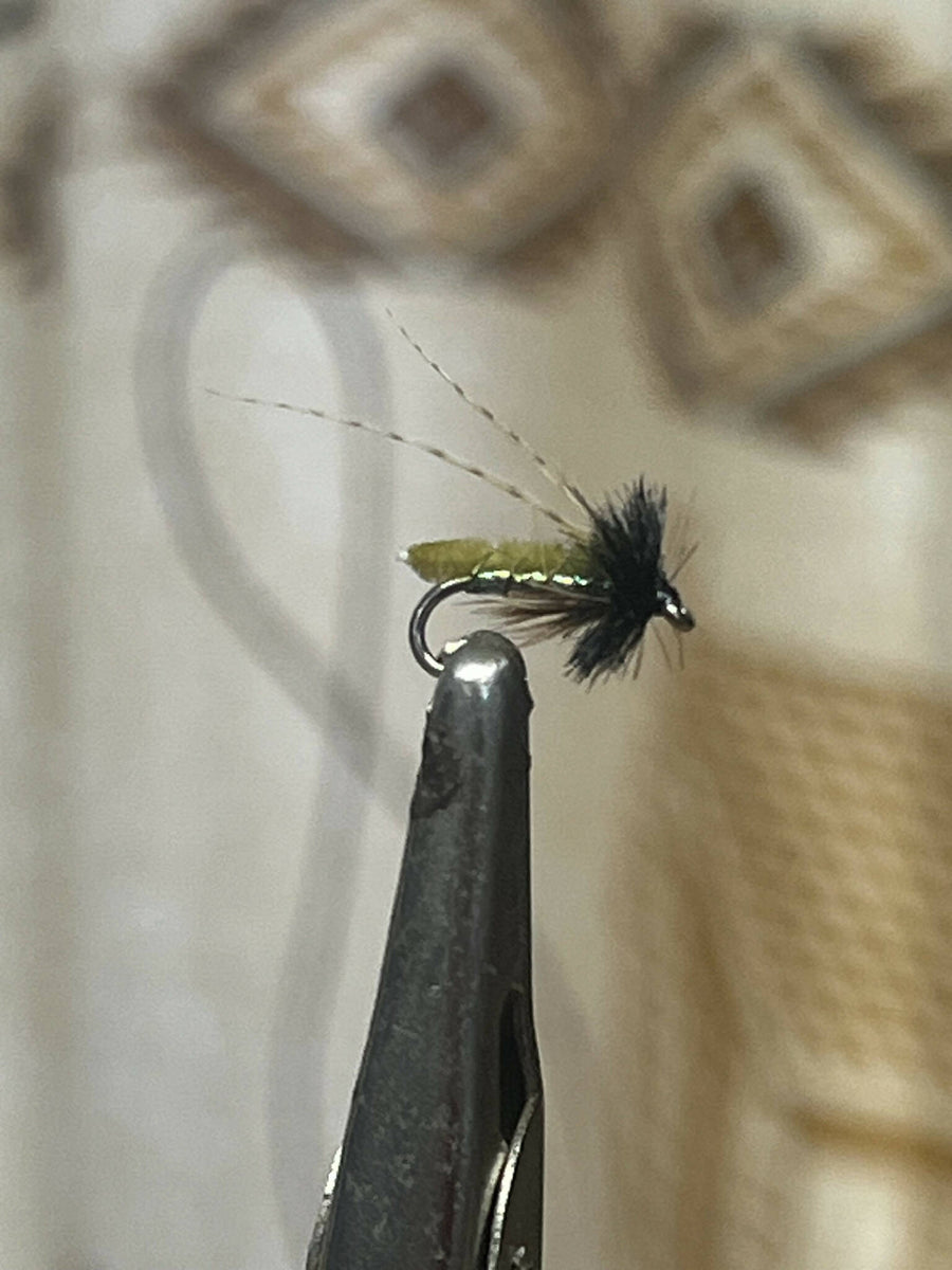 Poopah Olive Caddis – Check Your Flies