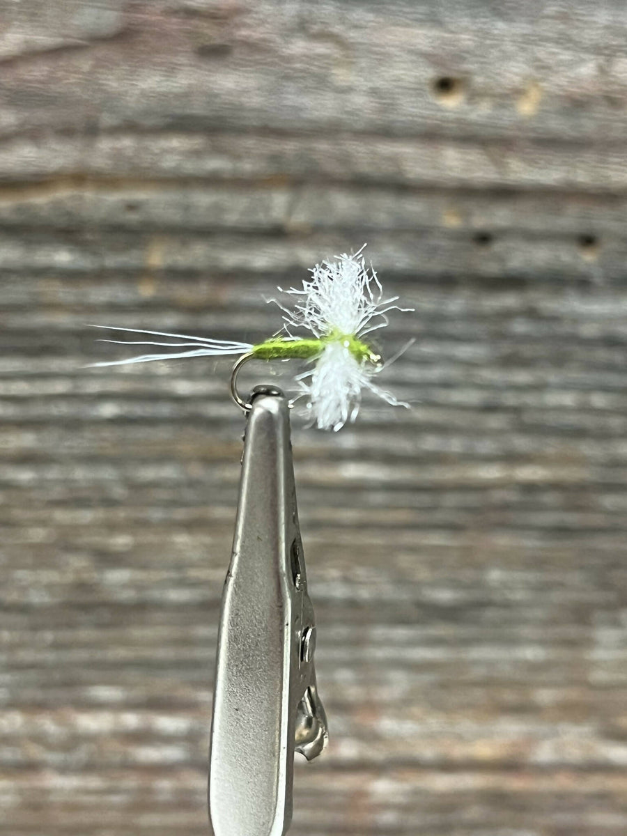 BWO Spinner – Check Your Flies