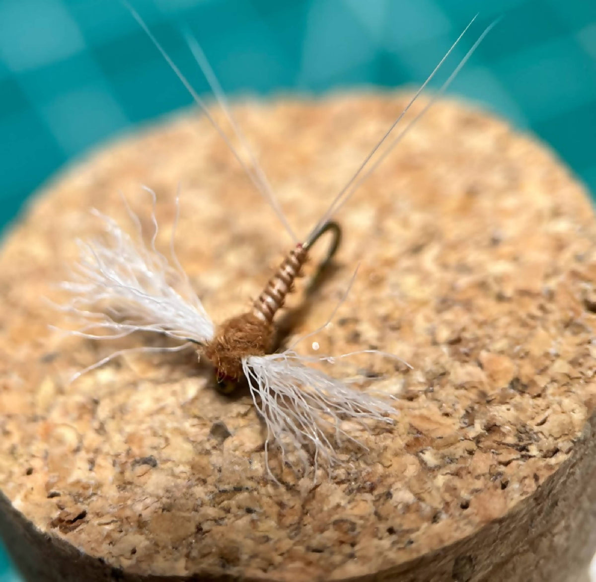 Rusty Spinner – Check Your Flies