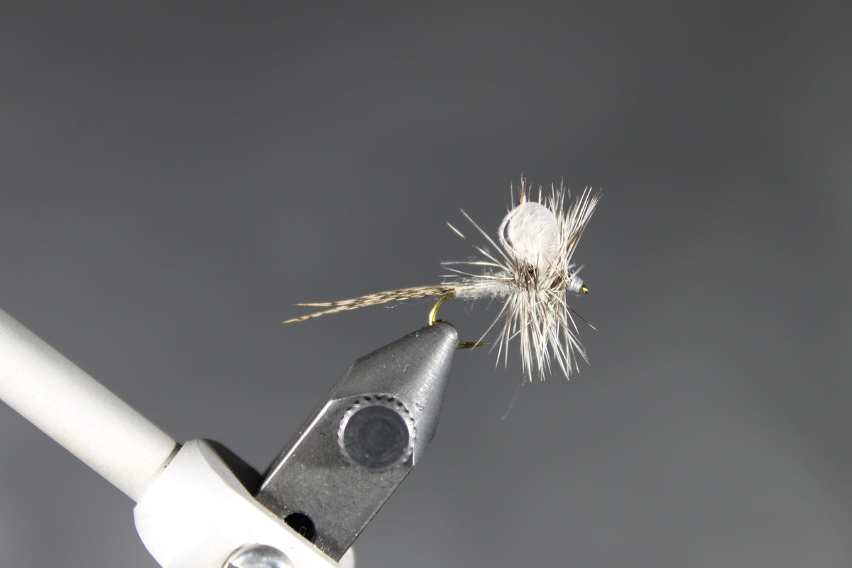 Gray Drake-Check Your Flies – Check Your Flies