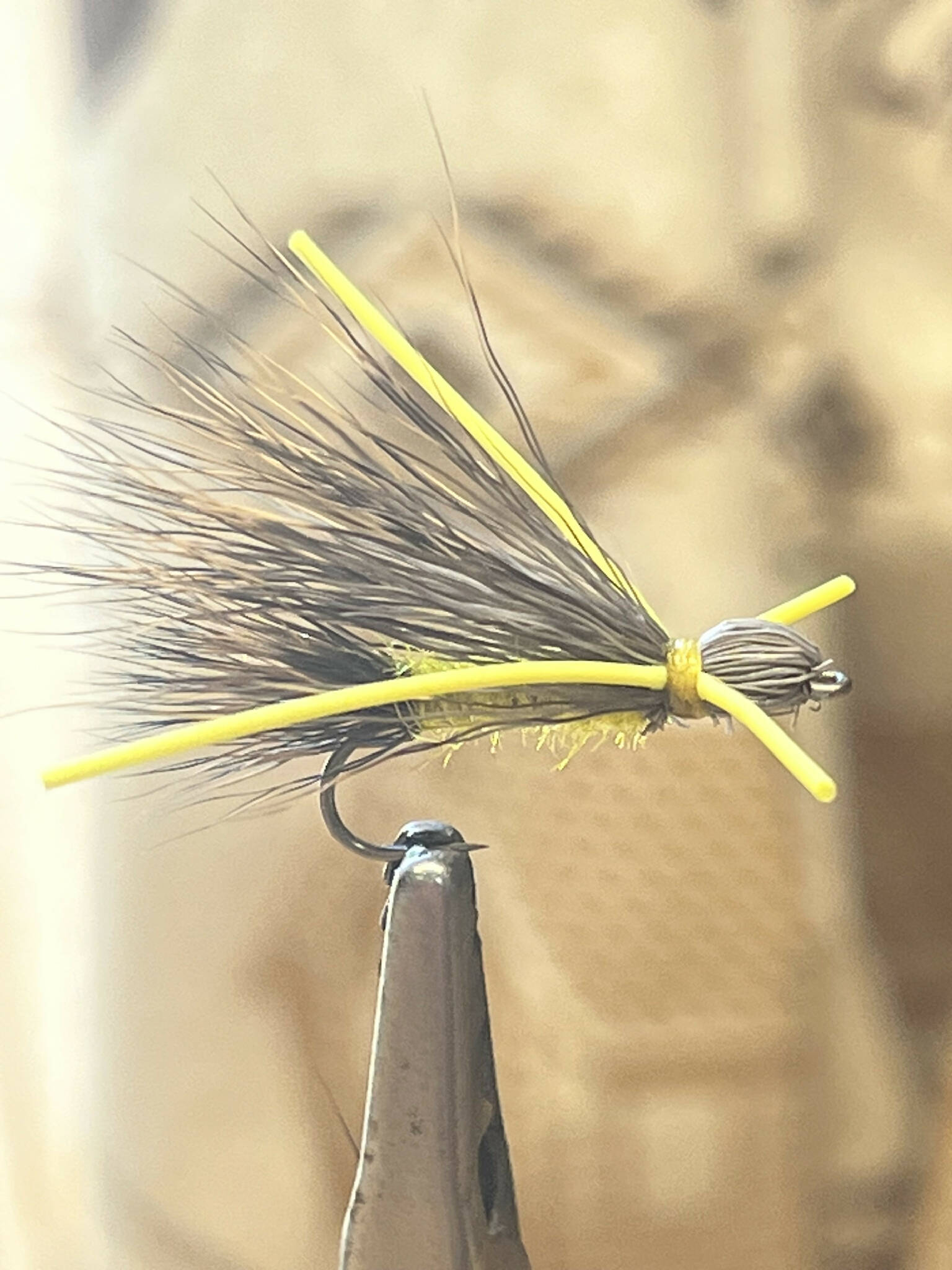 Madam X – Check Your Flies