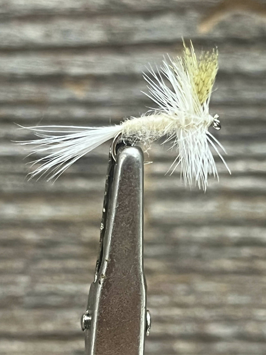 Light Cahill – Check Your Flies