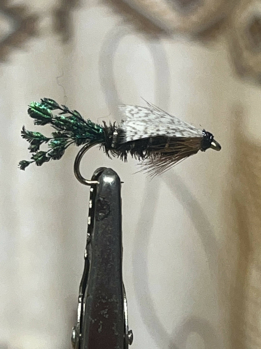 Zug Bug – Check Your Flies