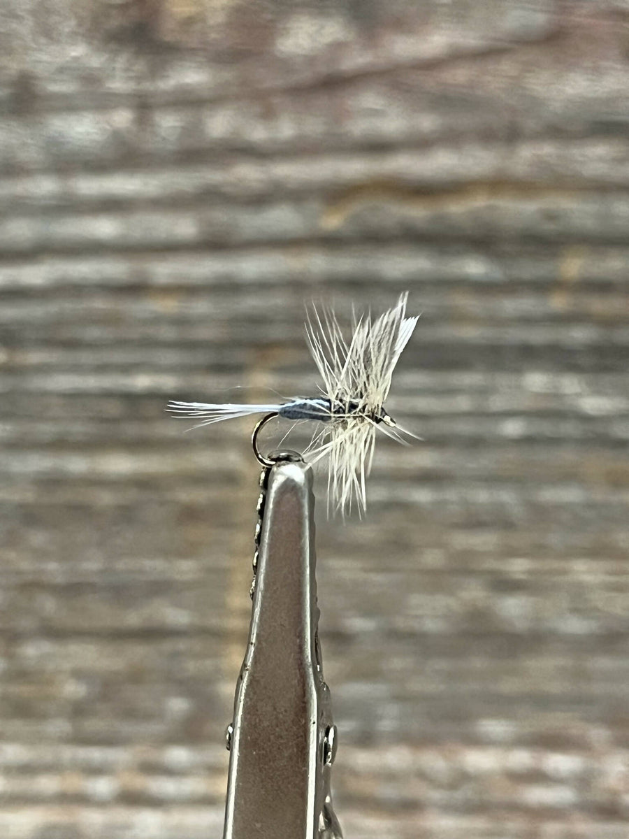 Blue Dun – Check Your Flies