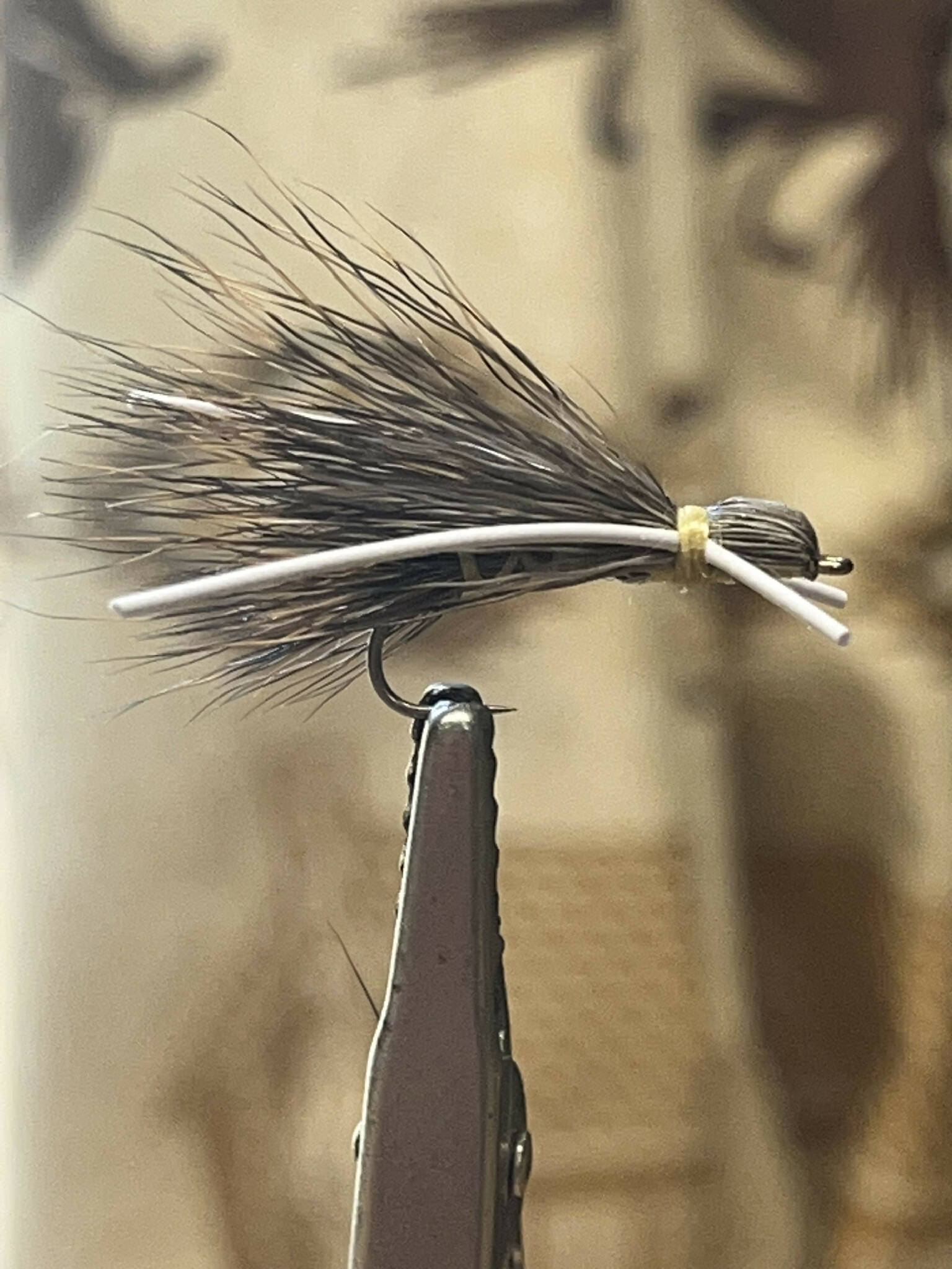 Madam X – Check Your Flies