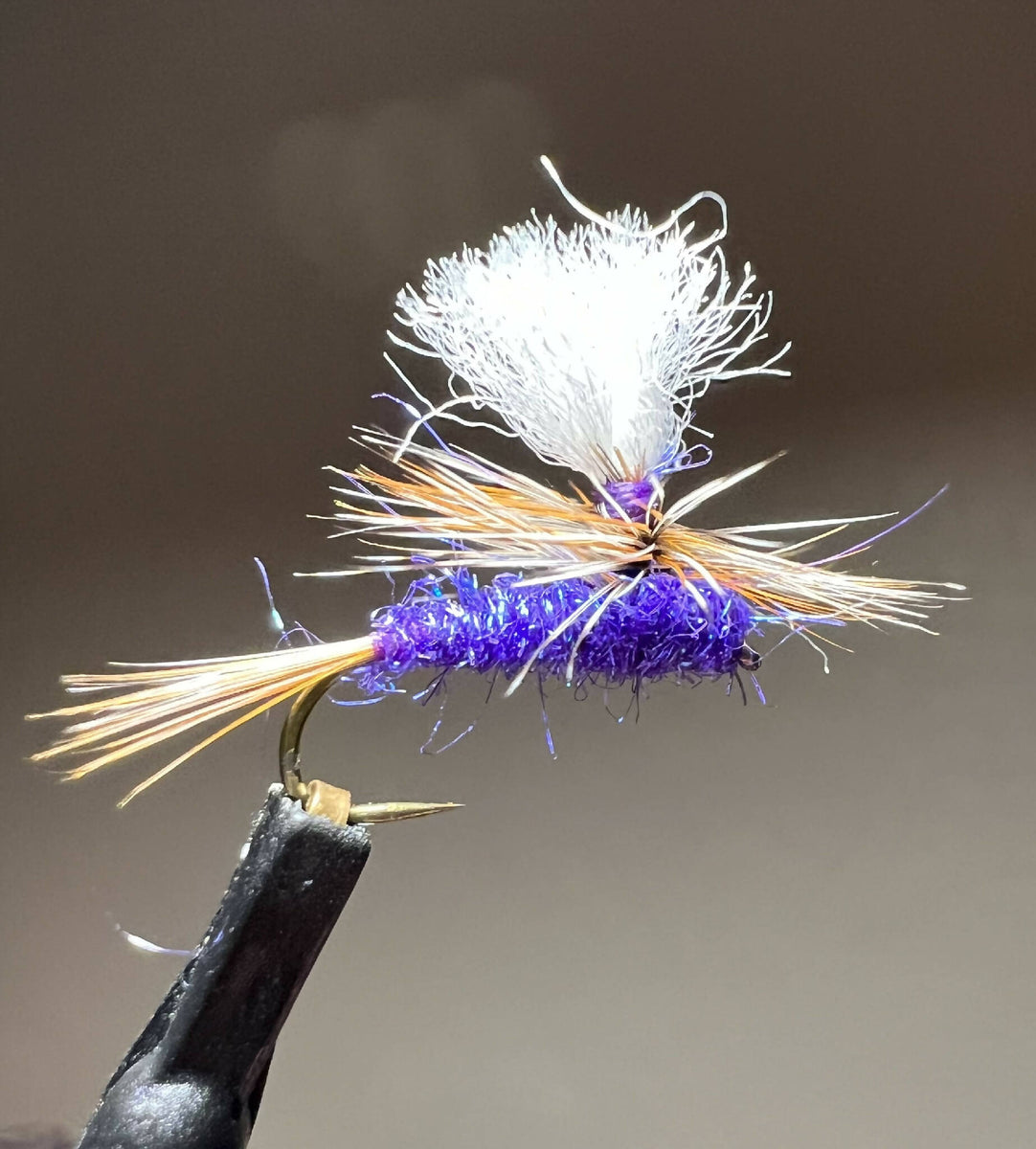 Purple Haze Dry Fly – Check Your Flies