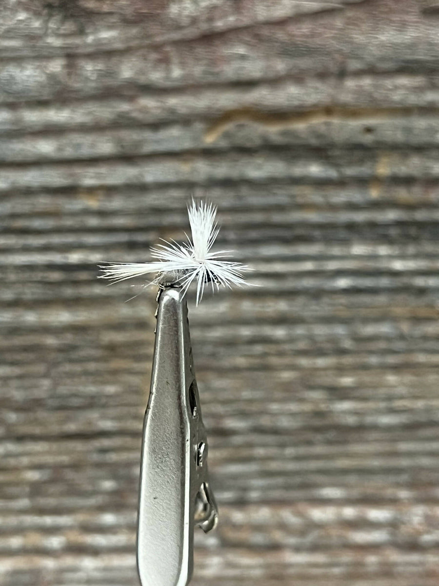 Parachute Light Cahill – Check Your Flies